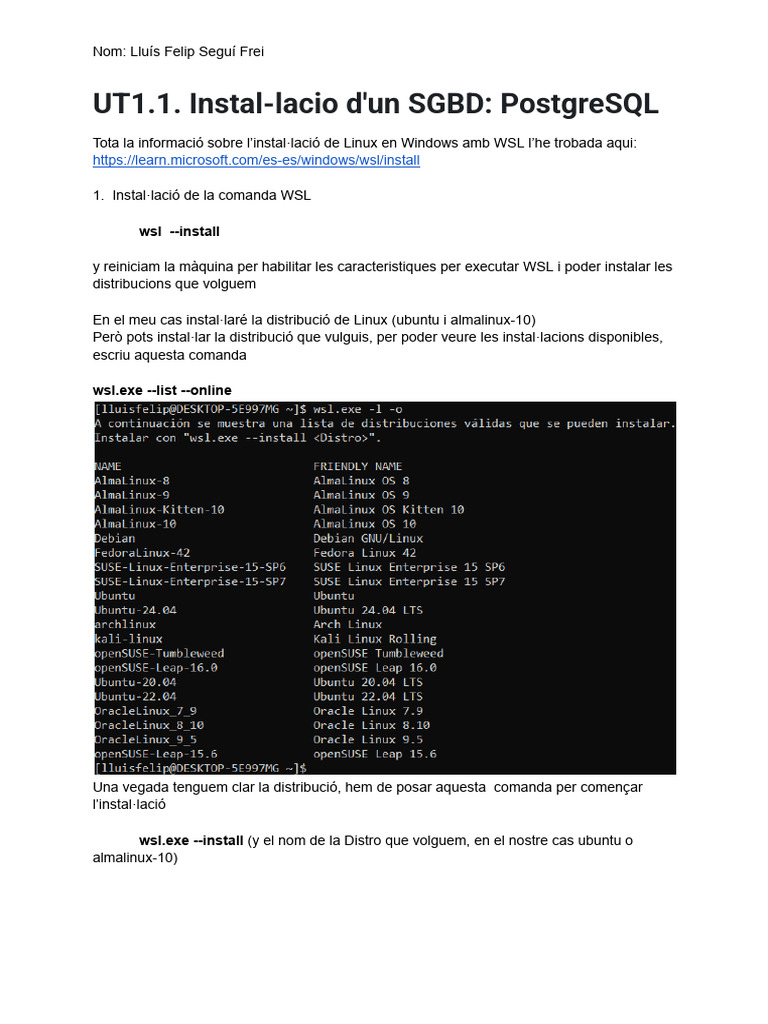 UT1.1. Instal-Lacio Dun SGBD - PostgreSQL | PDF