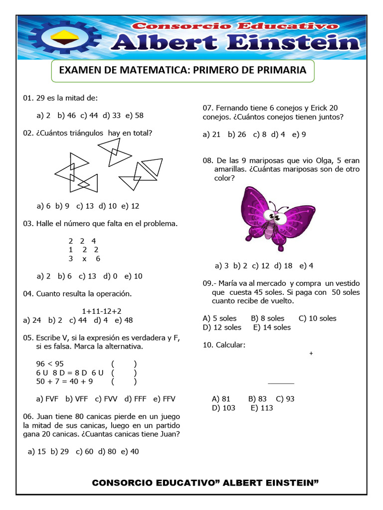 1-PRIMARIA Mate Einstein | PDF