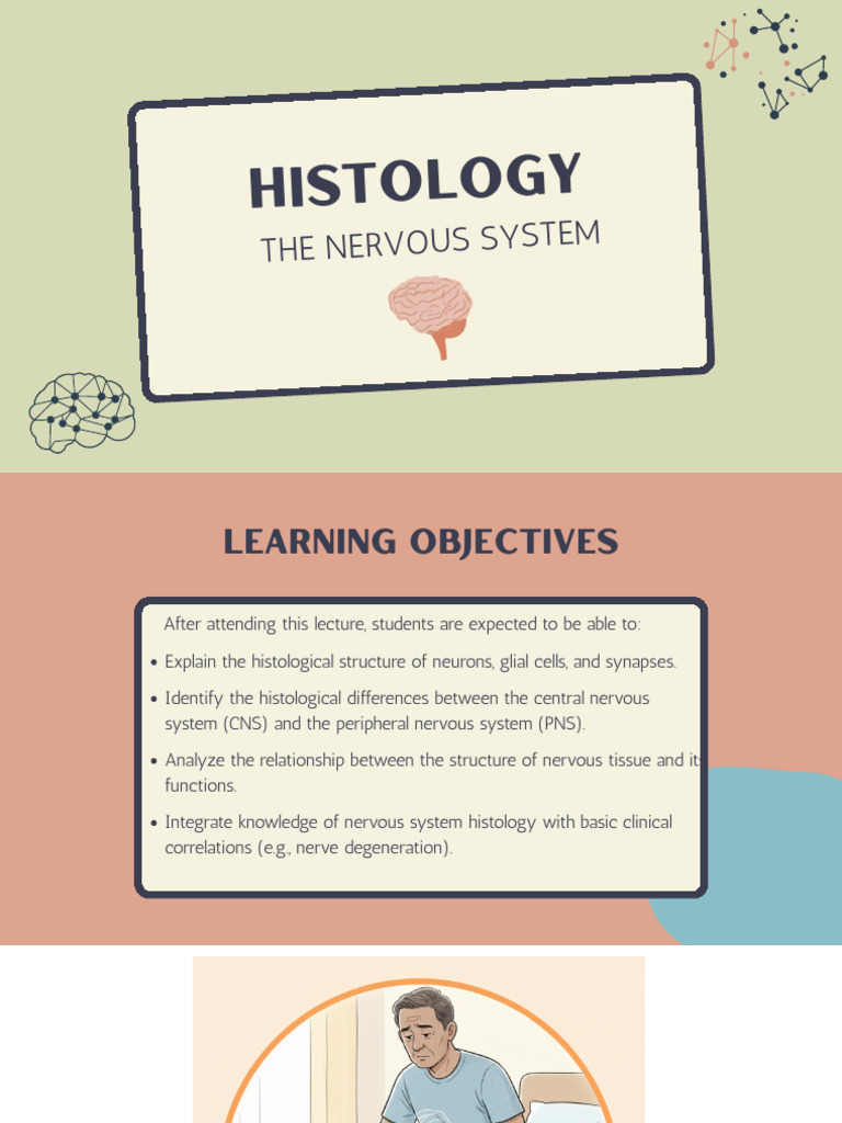 Histology of the Nervous System (2) | PDF | Neuron | Axon
