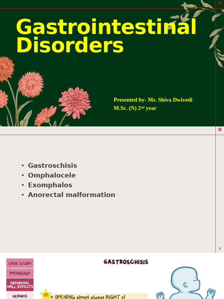 Gastrointestinal Disorders | PDF | Prenatal Development | Medical ...