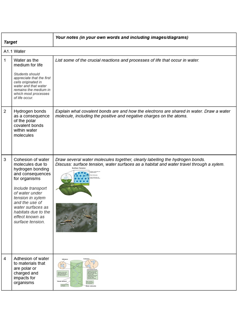 A1.1 Notes Template Ibdp HL Bio | PDF | Water | Chemical Bond