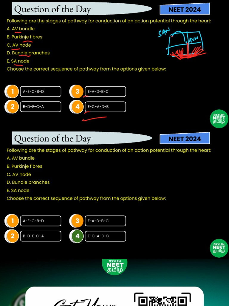 NEET - Question of the Day - Shruthi Mam (4) | PDF