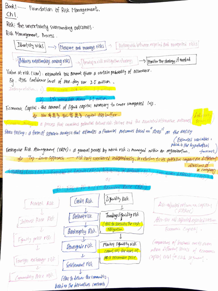 Foundation of Risk Management | PDF