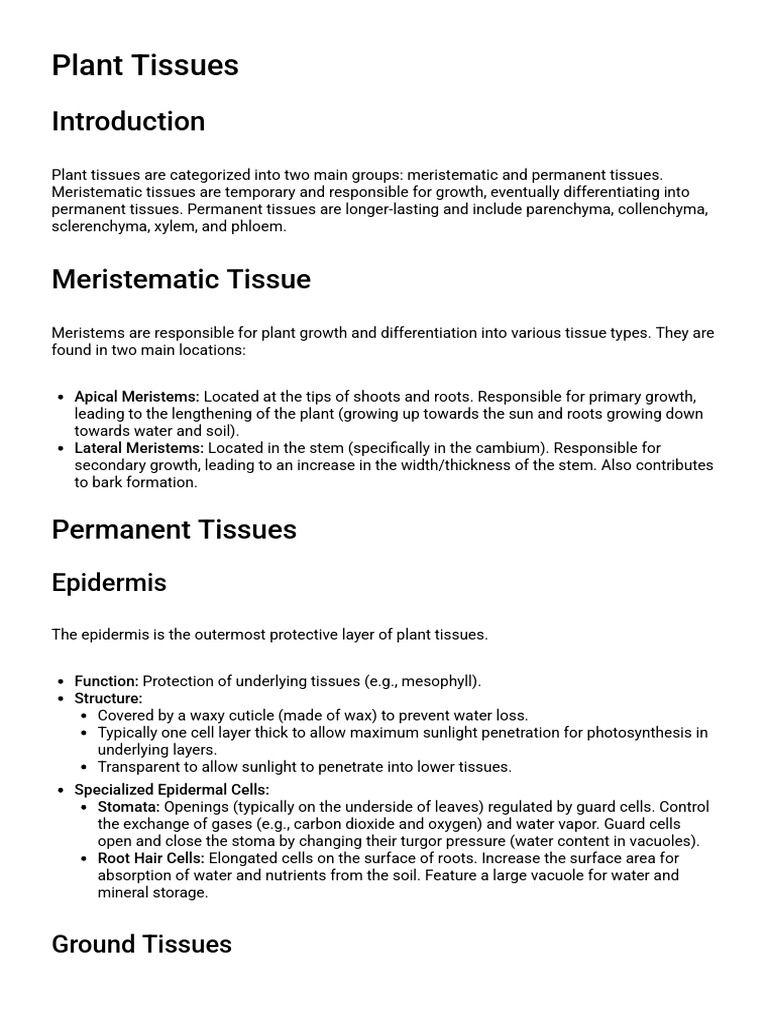 Overview of Plant Tissue Types | PDF | Tissue (Biology) | Plant Stem