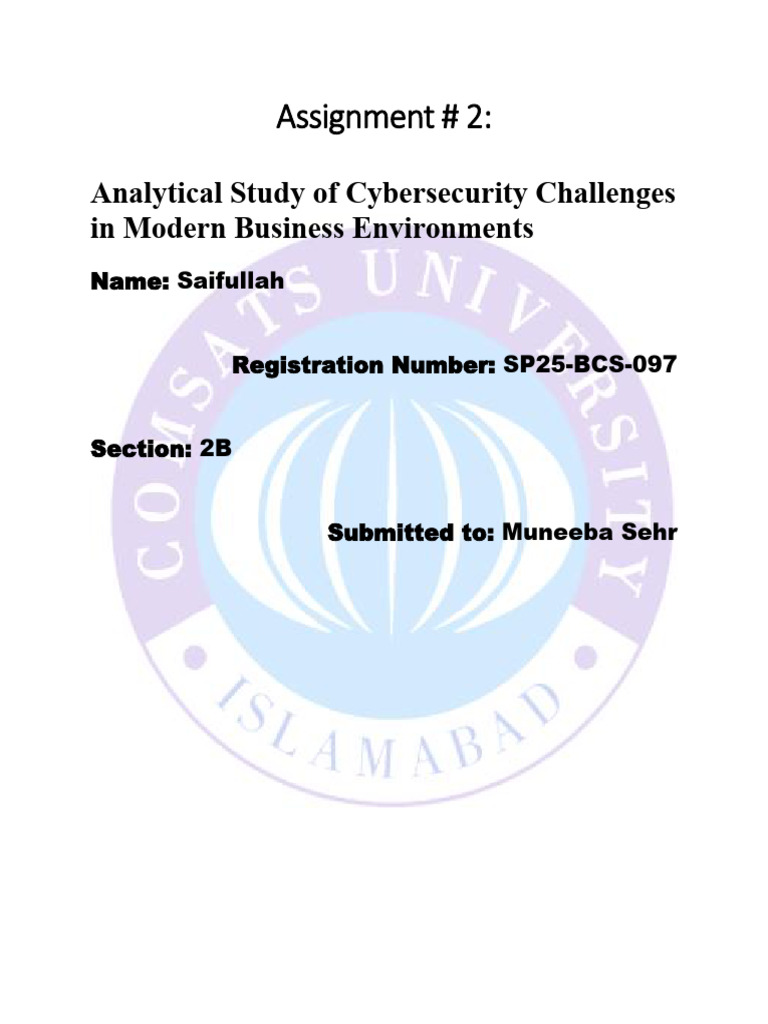 Sp25 Bcs 097 Tbw | PDF | Computer Security | Security