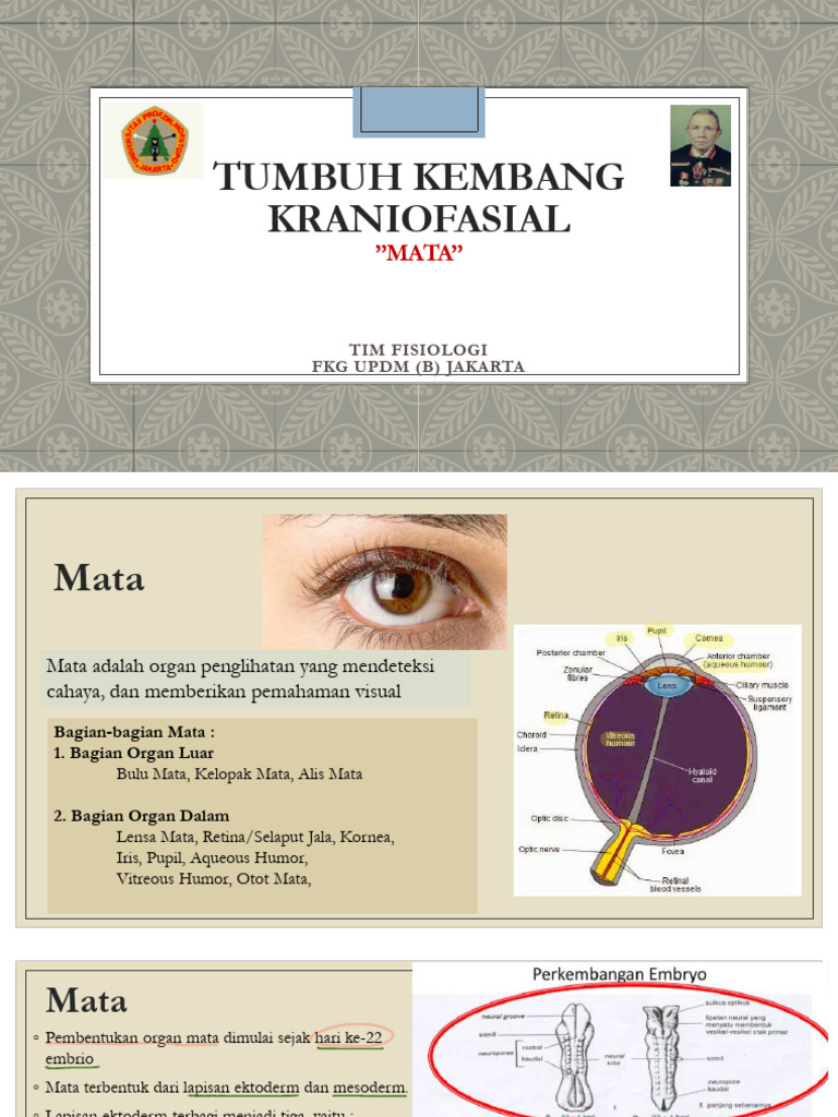 Pembentukan dan Struktur Mata Embrio | PDF