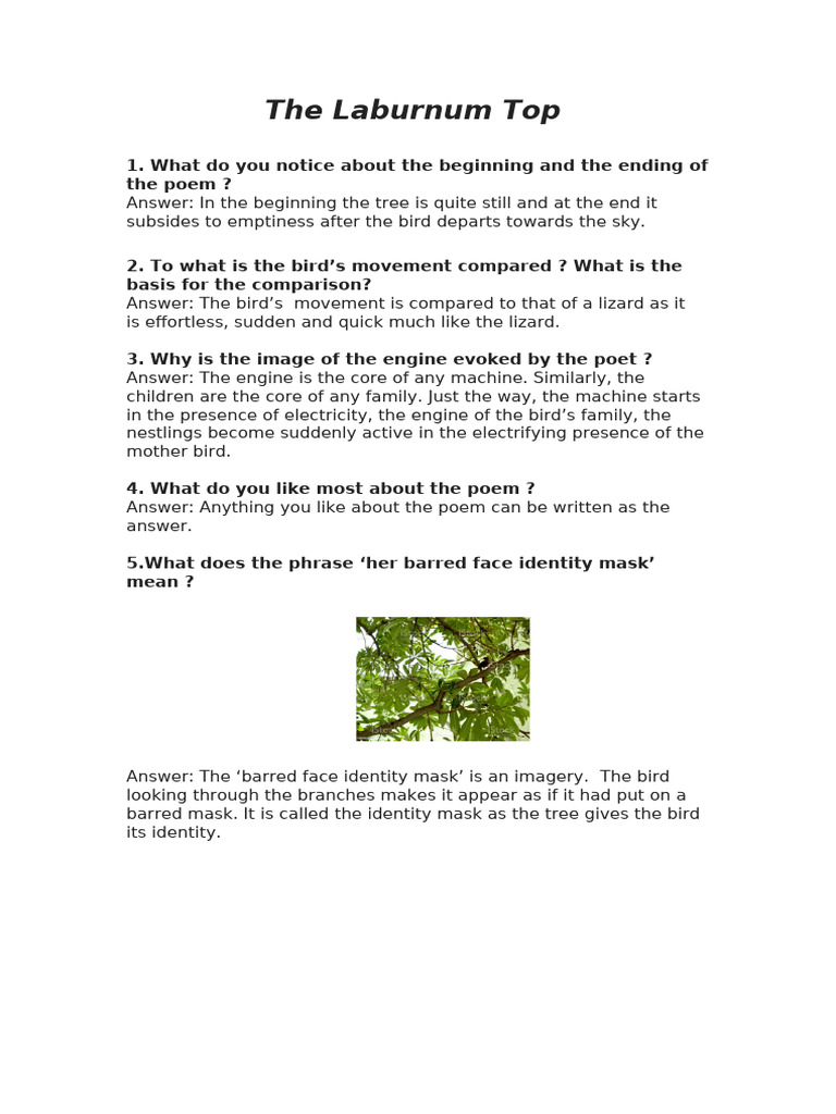 5.the Laburnum Top | PDF