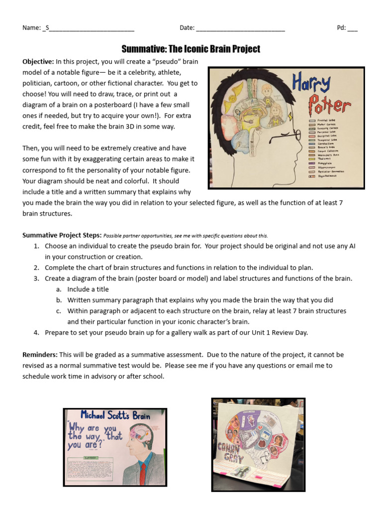 Shiriya Thompson - The Iconic Brain Project | PDF | Mental Processes ...