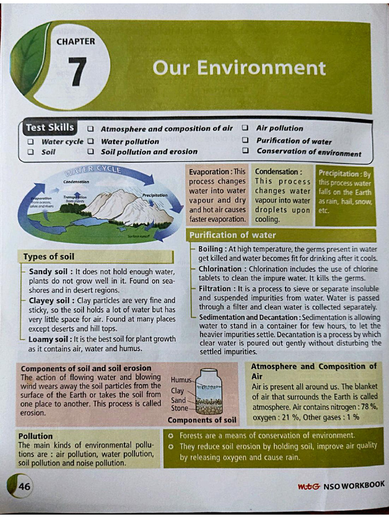 Chapter 7 Our Environment | PDF