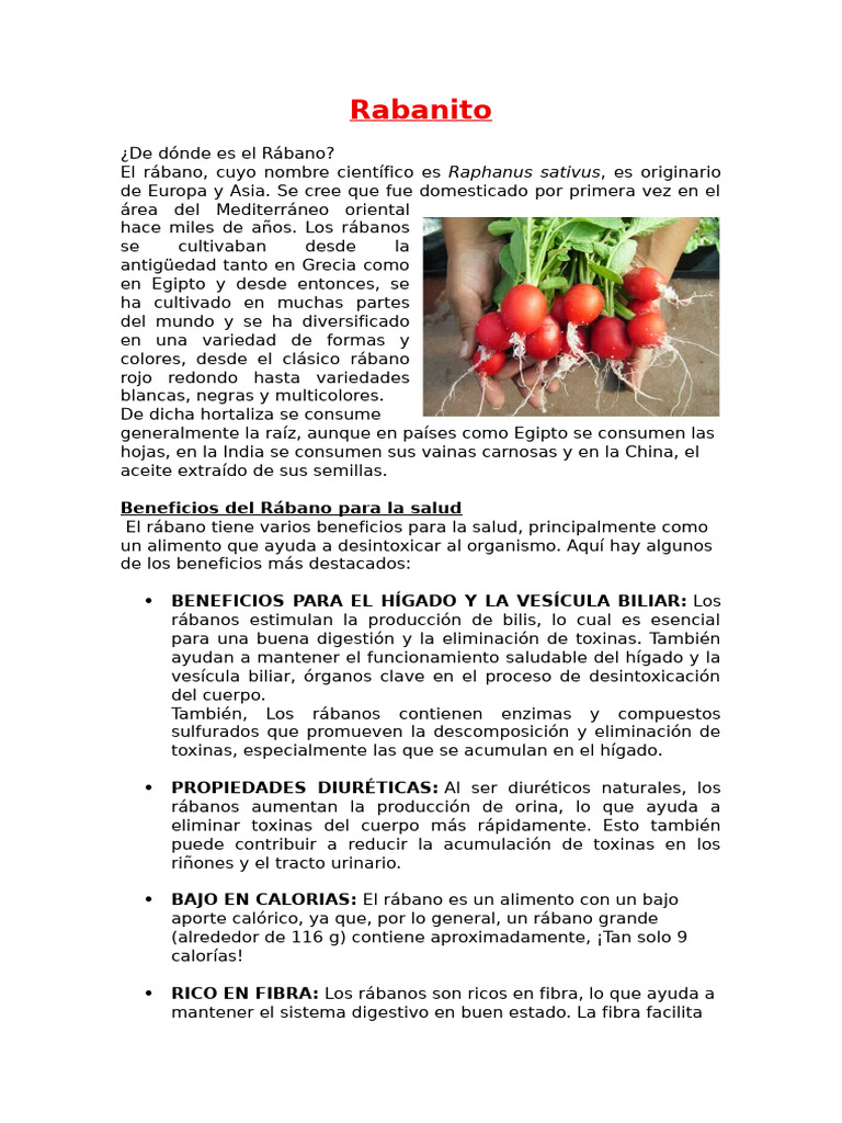 Rabanito | PDF | Siembra | Germinación