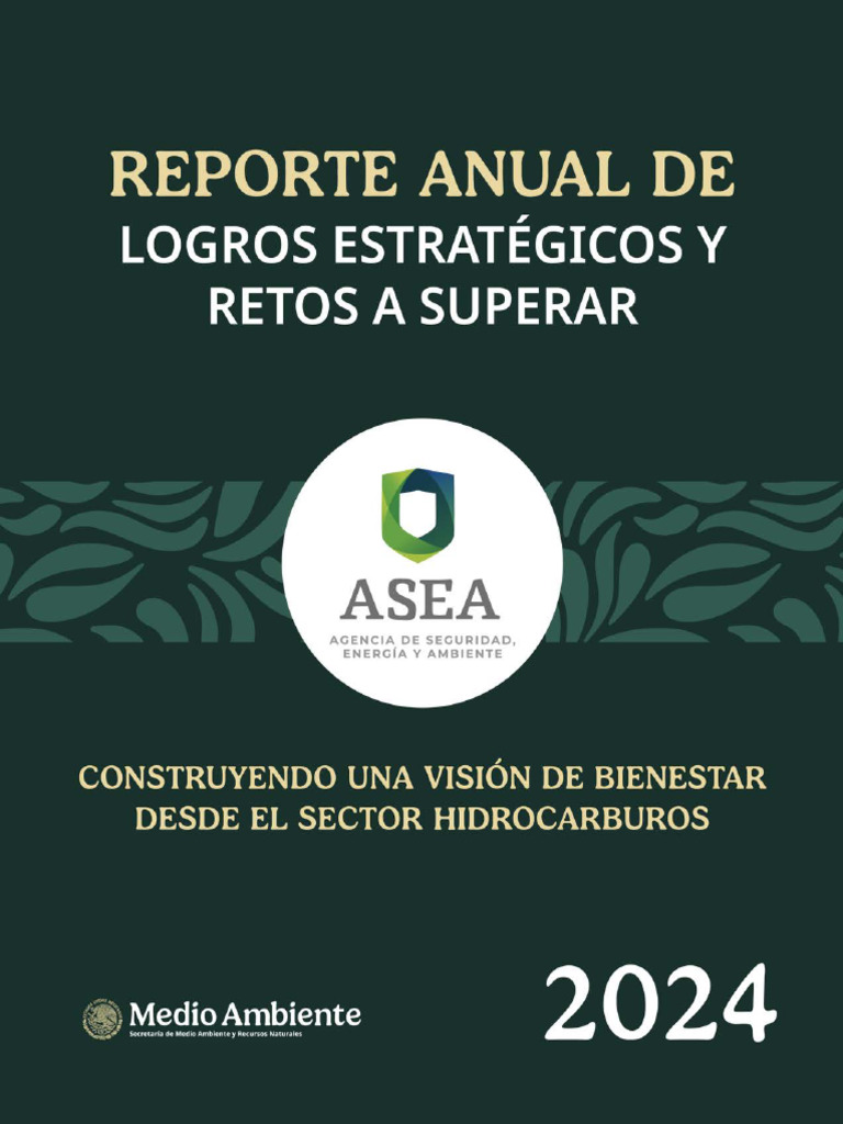 7 Logros y Retos 2024 VF | PDF | Sustentabilidad | Contaminación