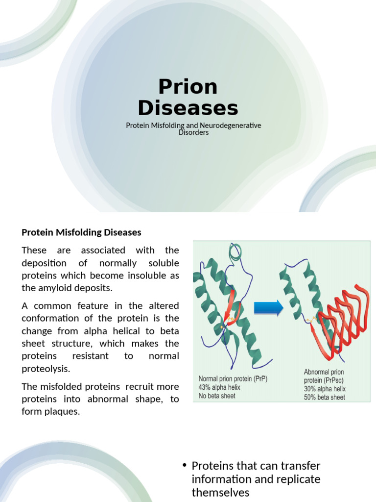 Understanding Prion Diseases and Protein Misfolding | PDF | Protein ...
