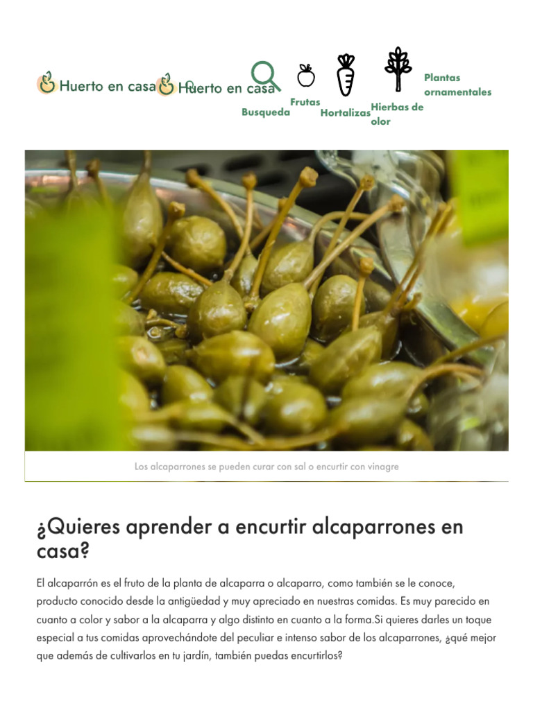 Encurtir Alcaparrones Huerto en Casa | PDF | Decapado | sal