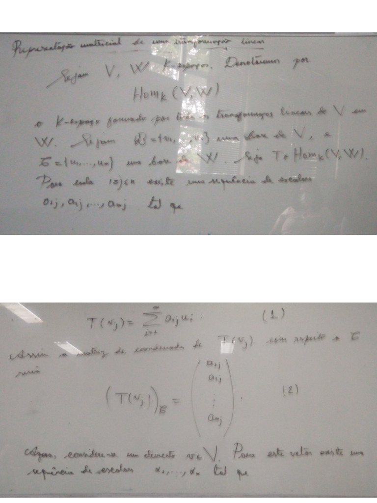 Aula 2 Álgebra Linear | PDF