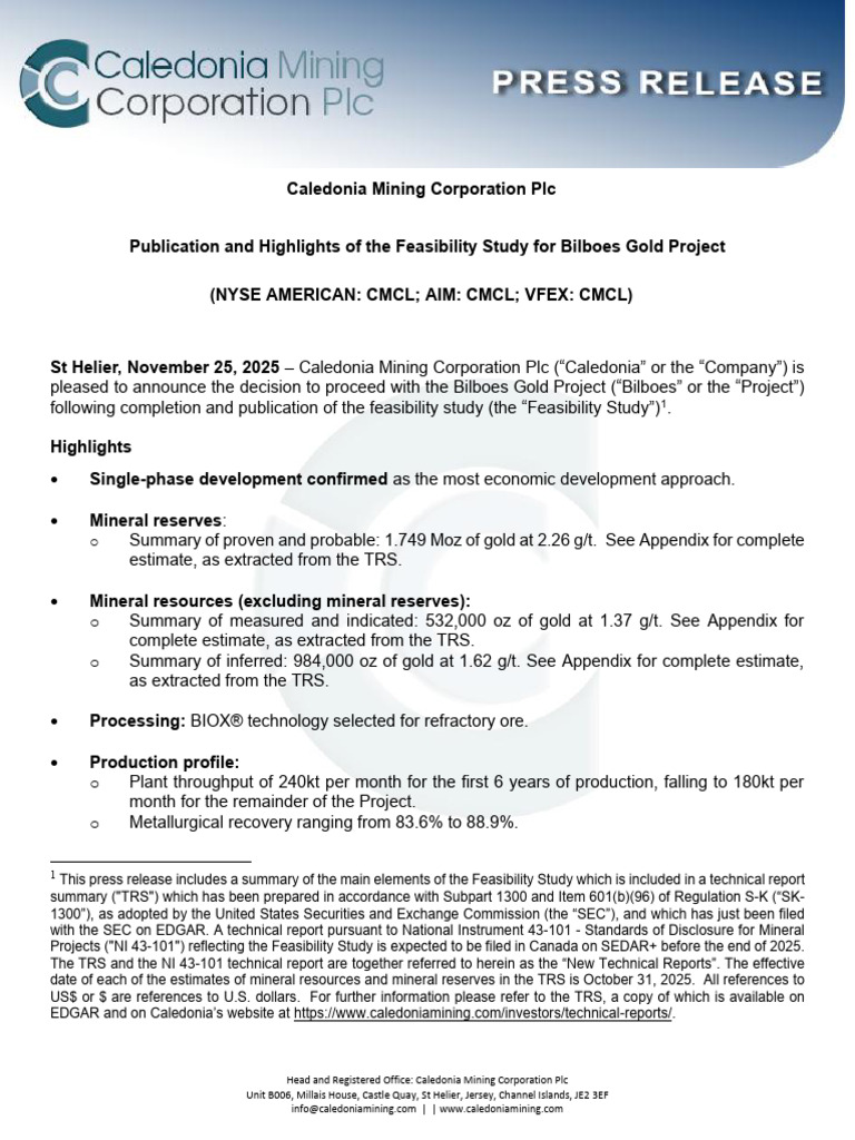 Bilboes Gold Project Feasibility Study Highlights | PDF | Mining | Risk