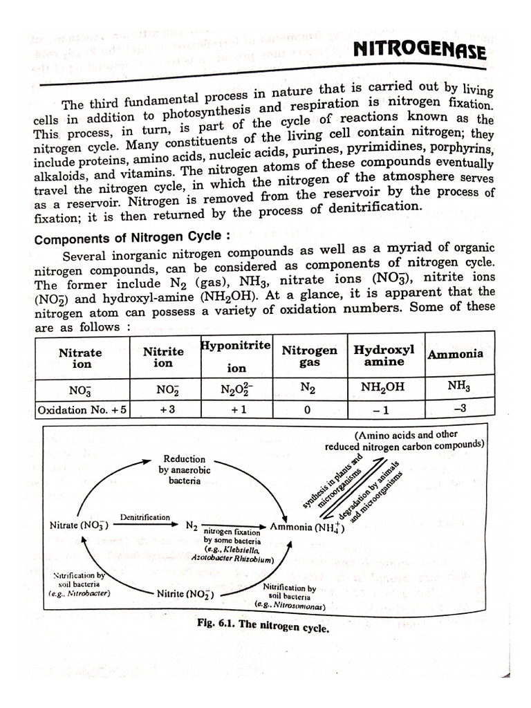 Nitrogen Fixation | PDF