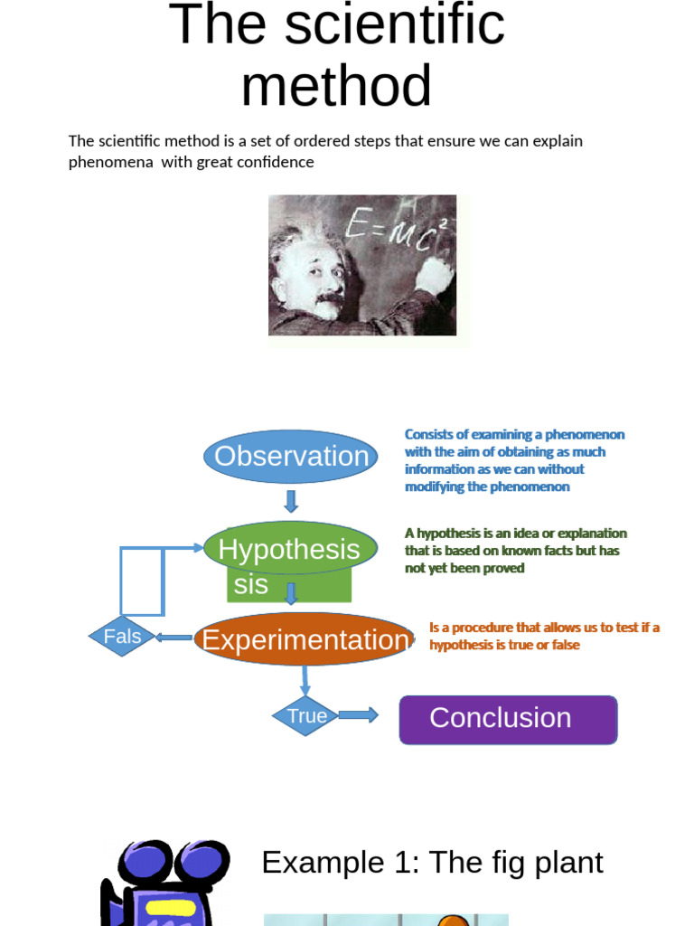 The Scientific Method | PDF