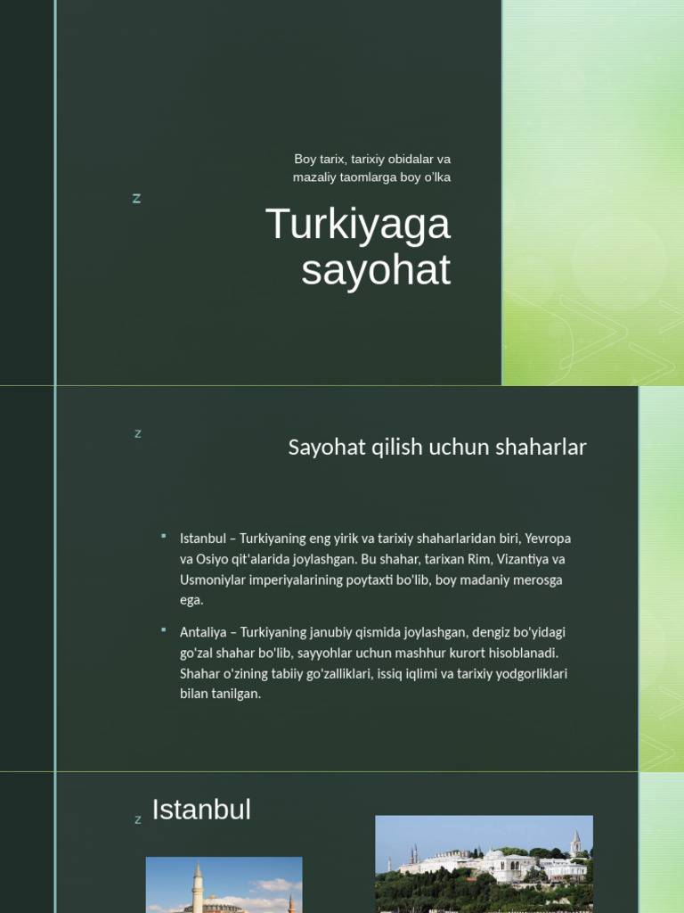 Turkiyaga Sayohat To'g'risida Ma'lumotlar | PDF