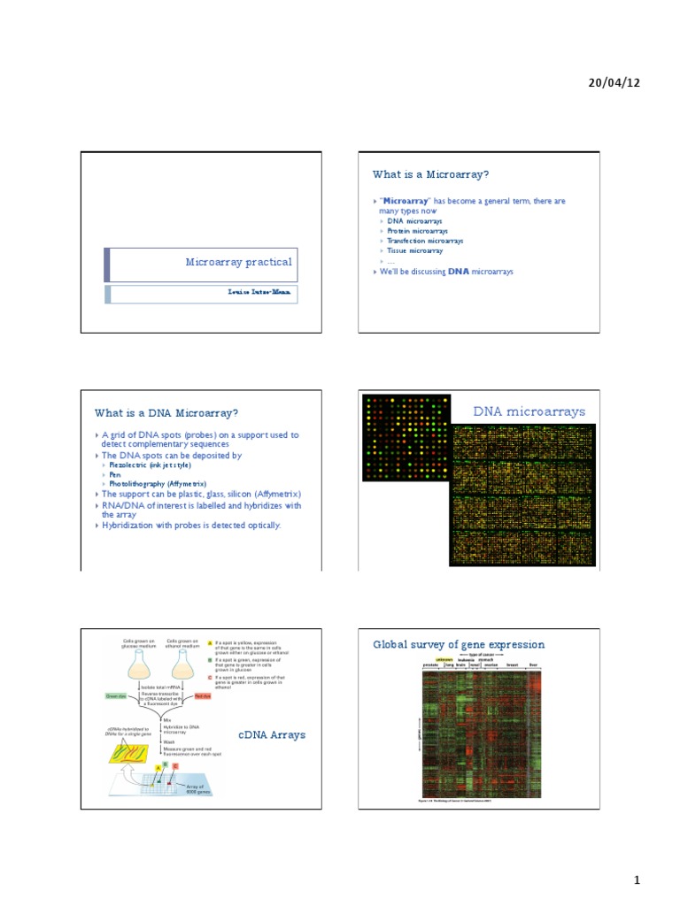 What Is A Microarray? | PDF | Dna Microarray | Gene Expression