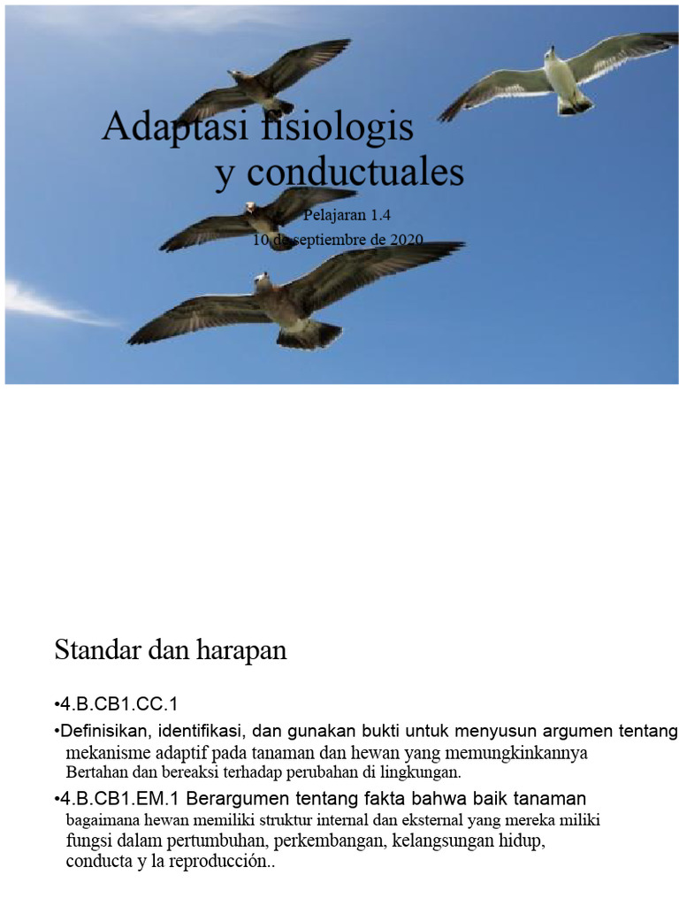 Adaptasi Fisiologis Dan Perilaku | PDF