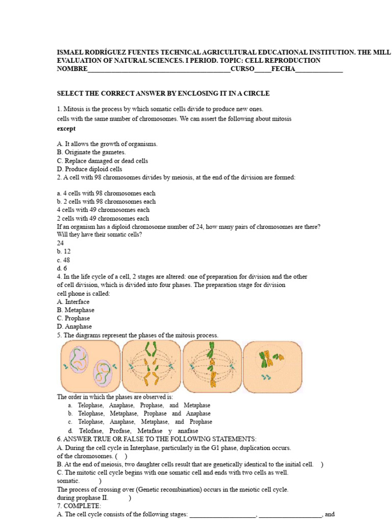 Cell Reproduction Evaluation Quiz | PDF | Meiosis | Mitosis
