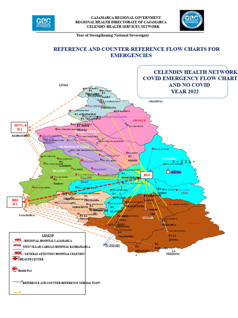 Reference and Counter-Reference Flow Charts For Emergencies | PDF