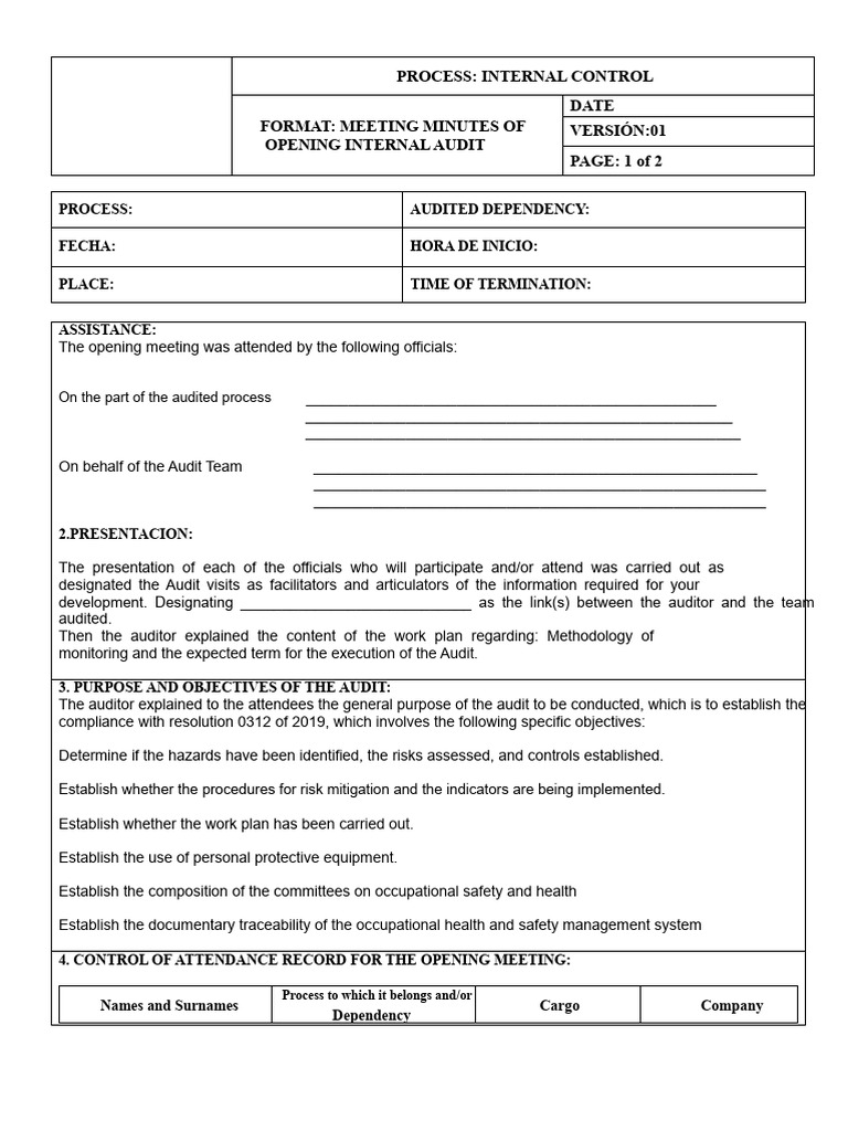 Minutes of Opening Audit | PDF | Audit | Internal Control