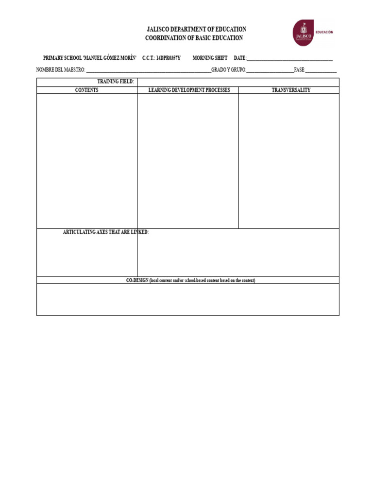 Co-Design Format Analytical Plan | PDF