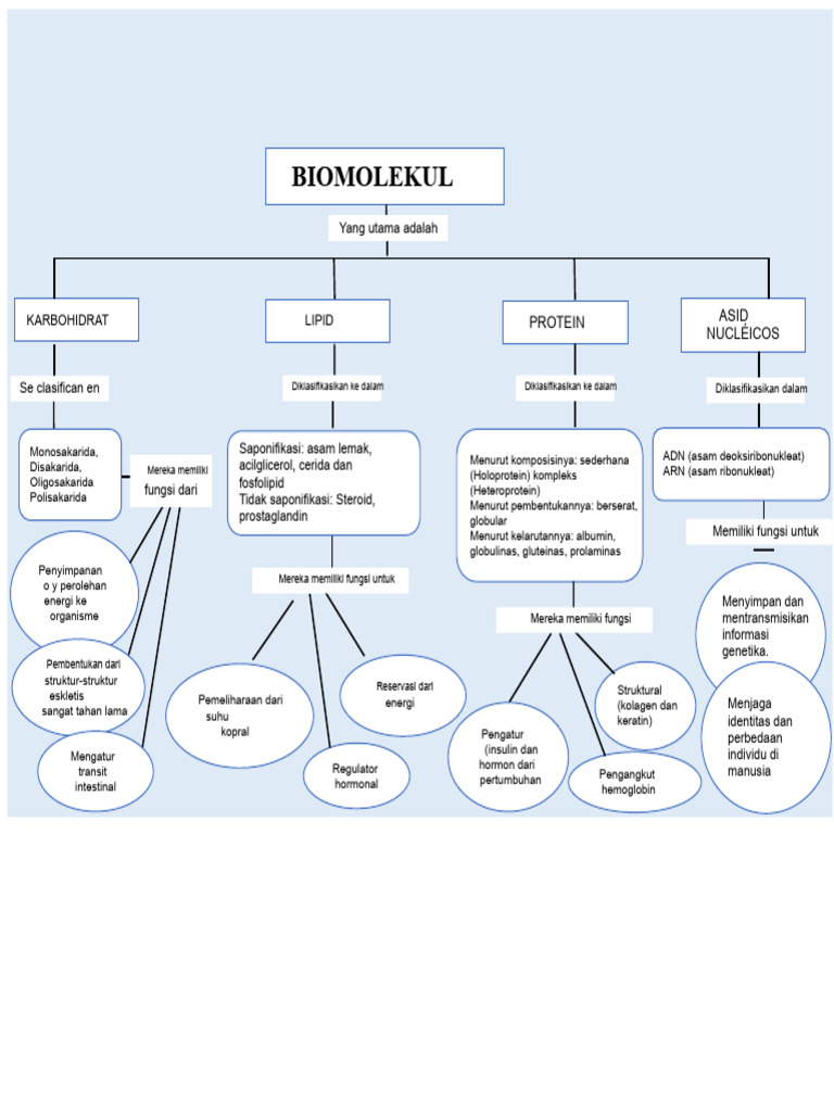 Peta Konseptual Biomolekul | PDF