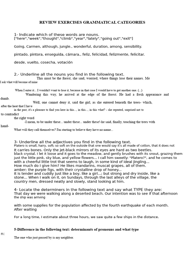 Grammatical Categories Review Exercises | PDF | Verb | Semantics