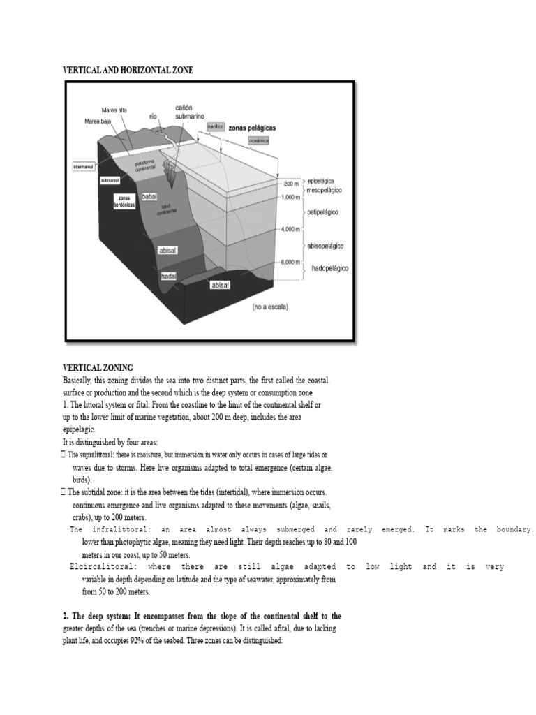 Understanding Vertical and Horizontal Zoning | PDF | Littoral Zone | Coast