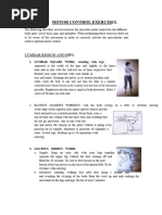 Scapular Stabilisation: Y-W-T Exercises | PDF