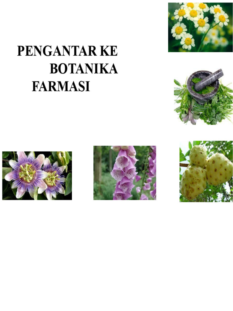 Pengantar Botanika Farmasi dan Klasifikasinya | PDF