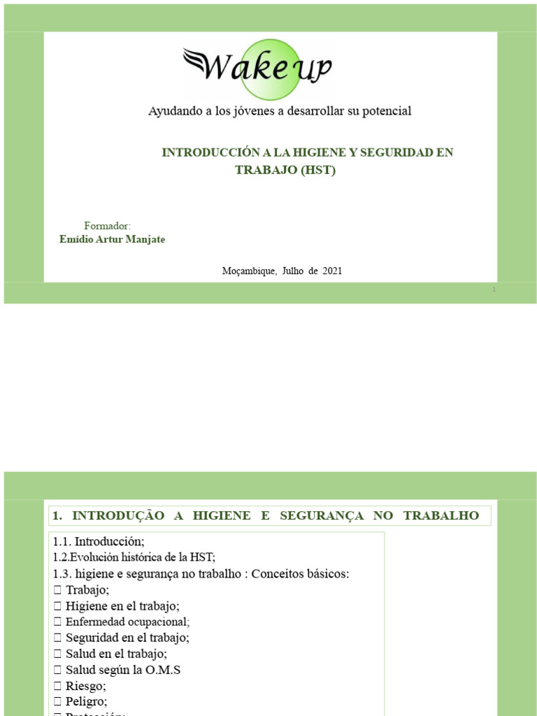 Clase 2-HST | PDF | Seguridad y salud ocupacional | Valores