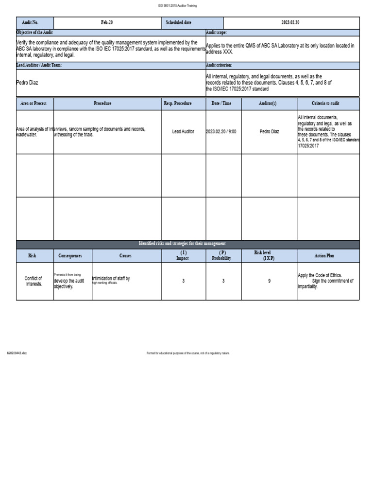 Format For Internal Audit Plan and Program | PDF | Audit | Quality ...