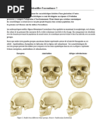 Crane de Comorien - Recherche Google | PDF | Partage de média ...