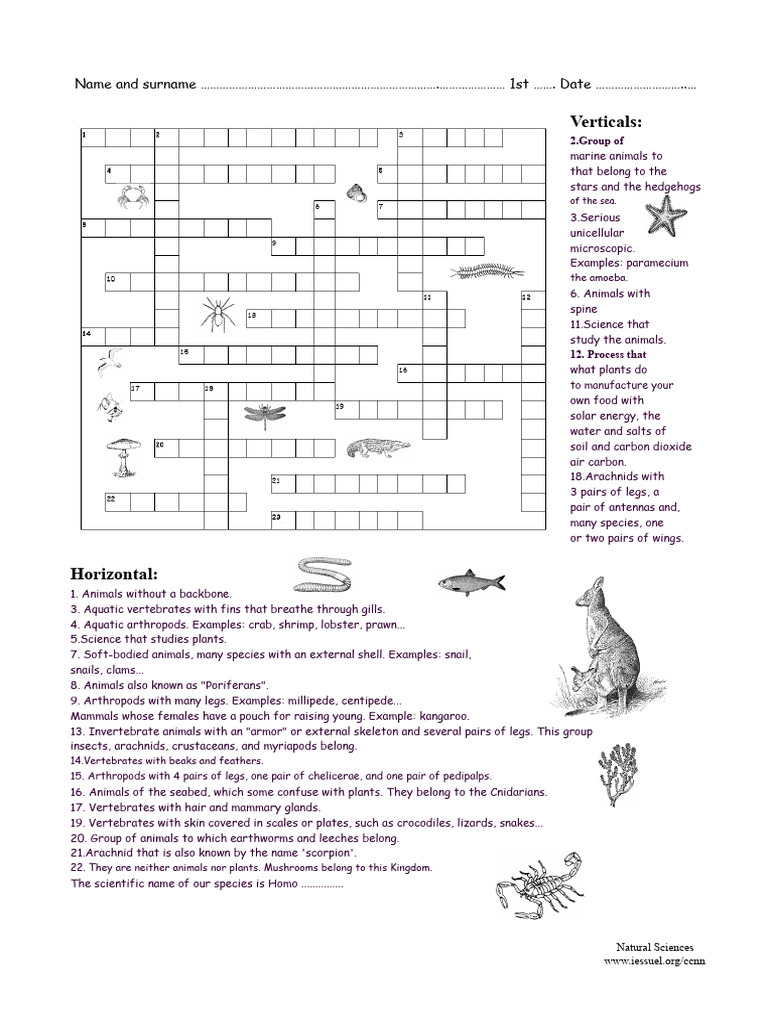 Crossword Animals | PDF | Vertebrates | Biology