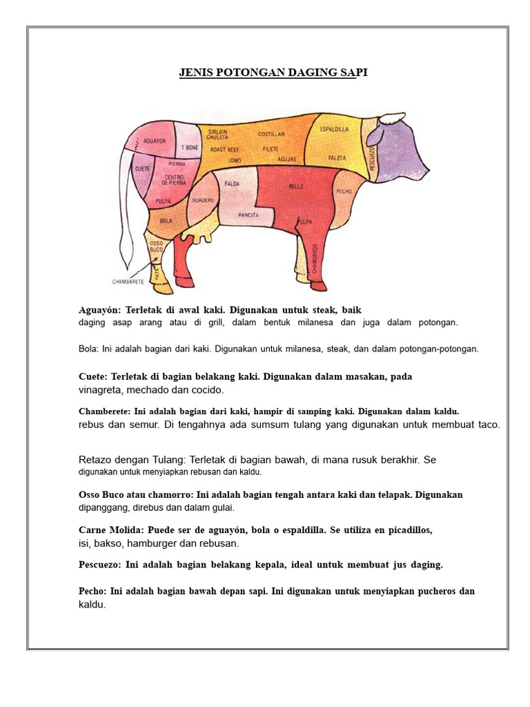 Jenis Potongan Daging Sapi | PDF