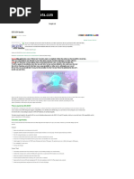 Building Atmosphère on Windows Guide | PDF | Software | Computer ...