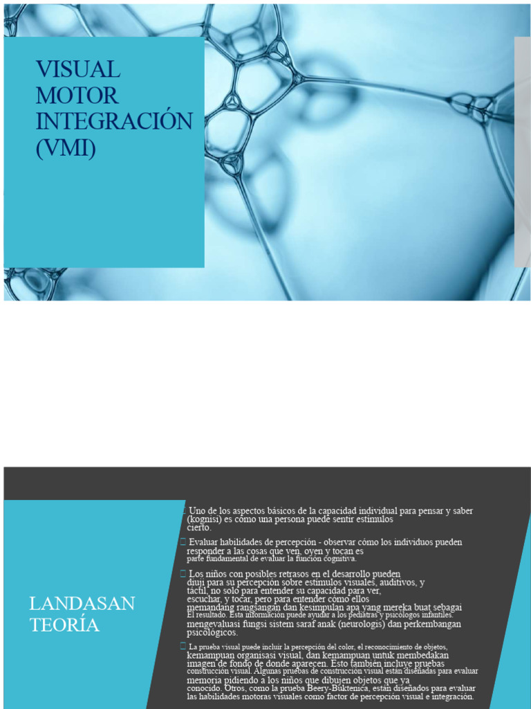 Encuentro 12-13 - Integración Motor Visual (Vmi) | PDF | Percepción | Sicología