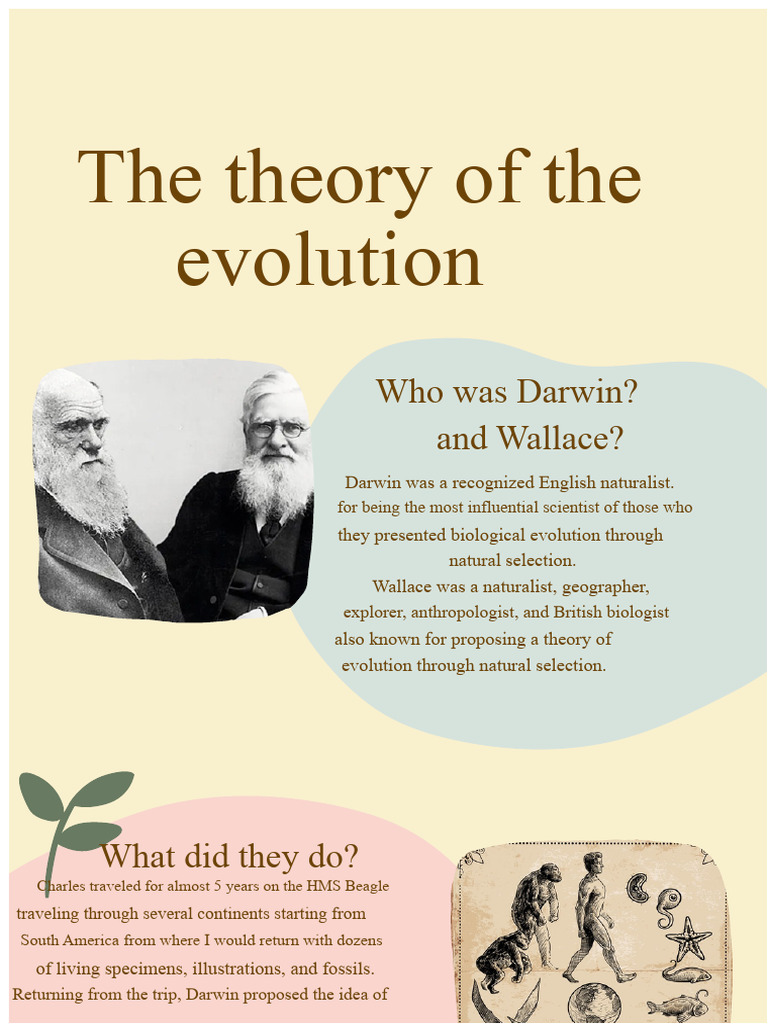Darwin and Wallace: Evolutionary Theory | PDF