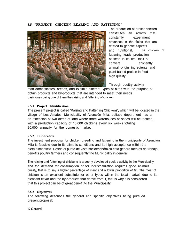 Broiler Chickens | PDF | Meat | Poultry Farming