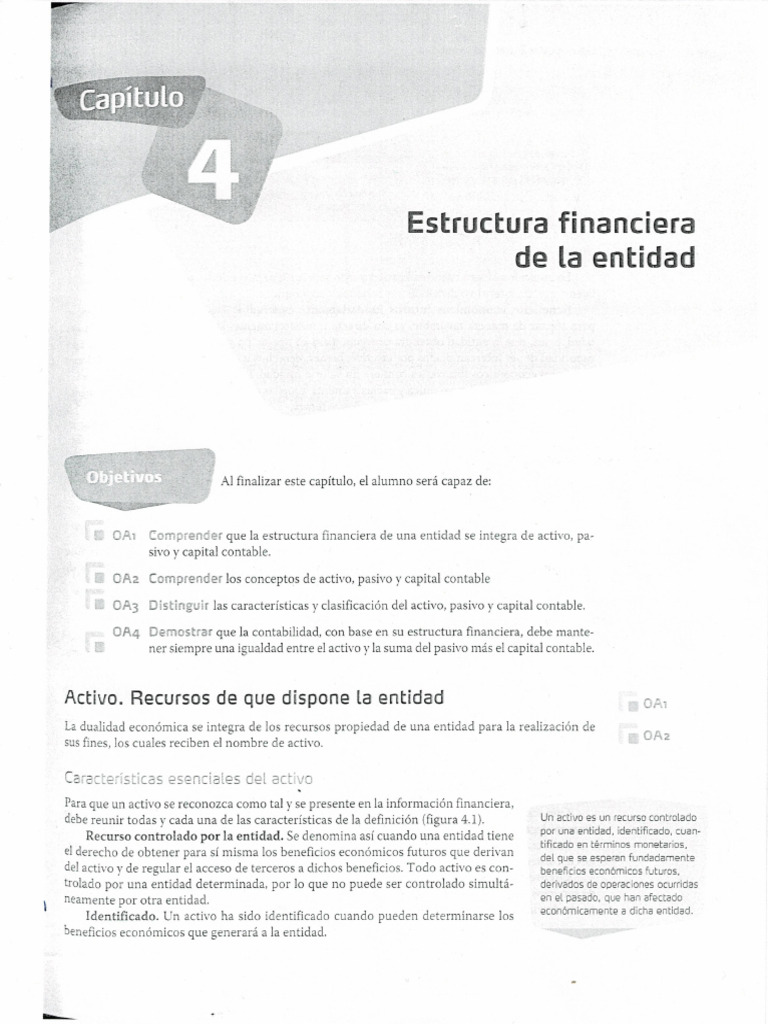 4 Estructura Financiera de La Entidad | PDF