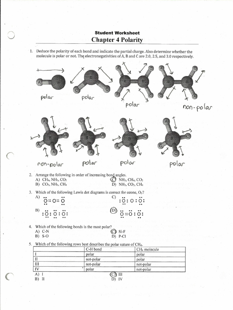7 Polarity Worksheet - Solutions | PDF