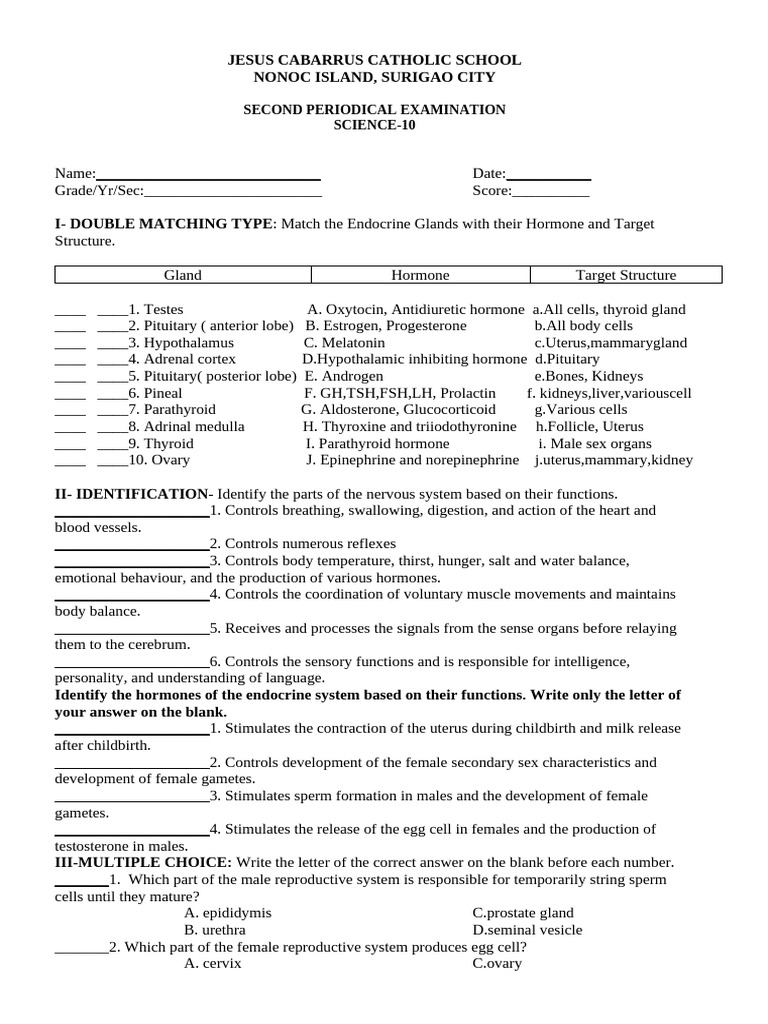 Grade 10 Science | PDF | Menstrual Cycle | Endocrine System
