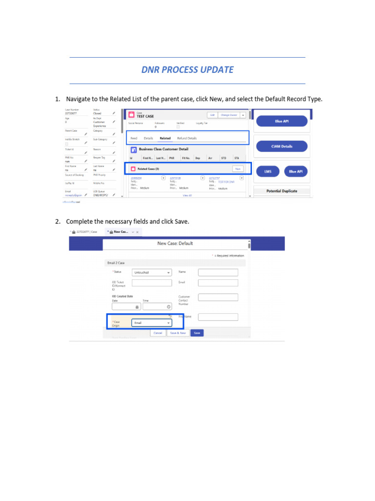 DNR Process Sop | PDF