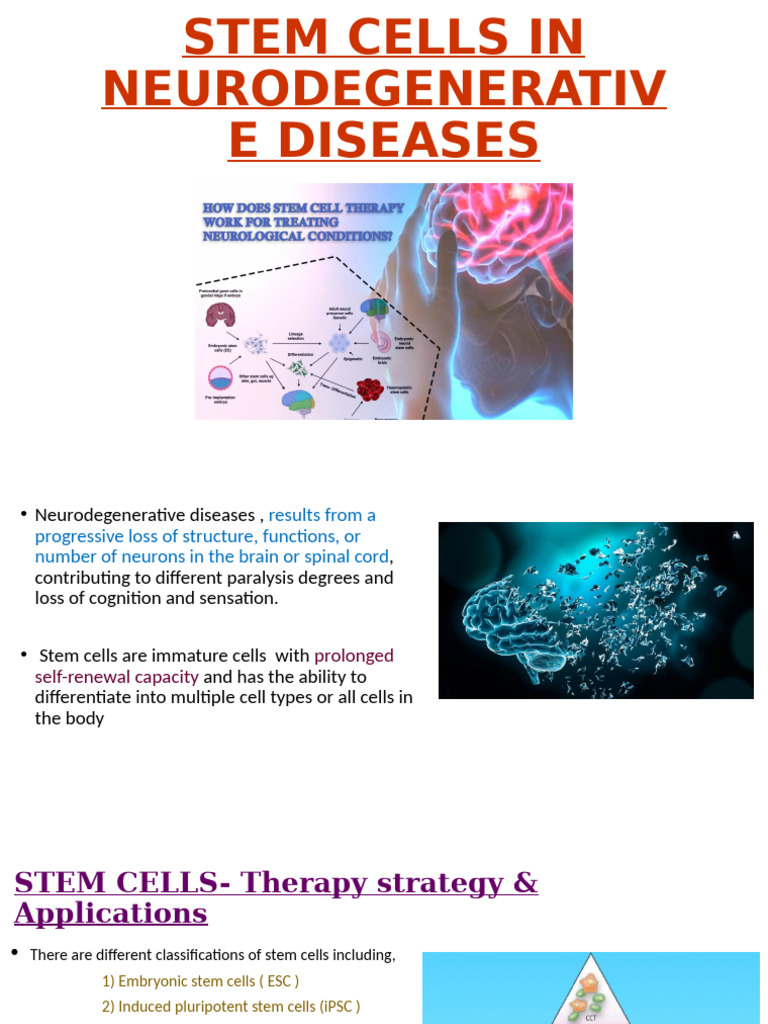 STEM CELLS IN NEURODEGENERATIVE DISEASES | PDF | Stem Cell | Cell Potency