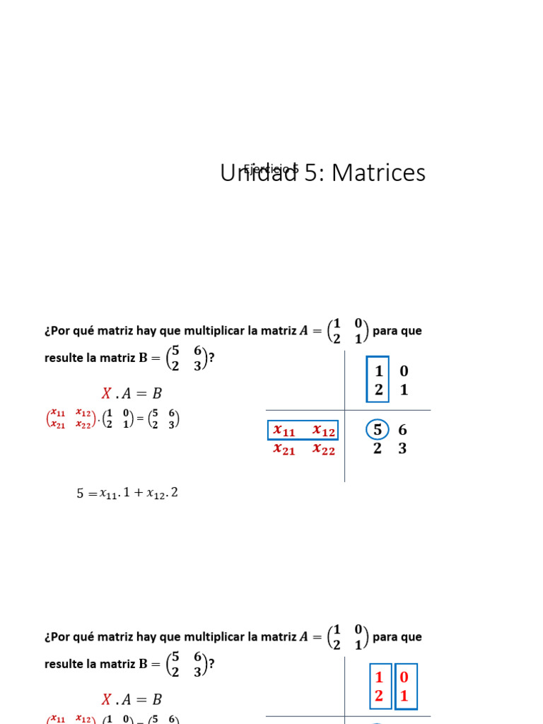 Ejercicio 5 - Matrices | PDF | Matriz (Matemáticas) | Álgebra lineal