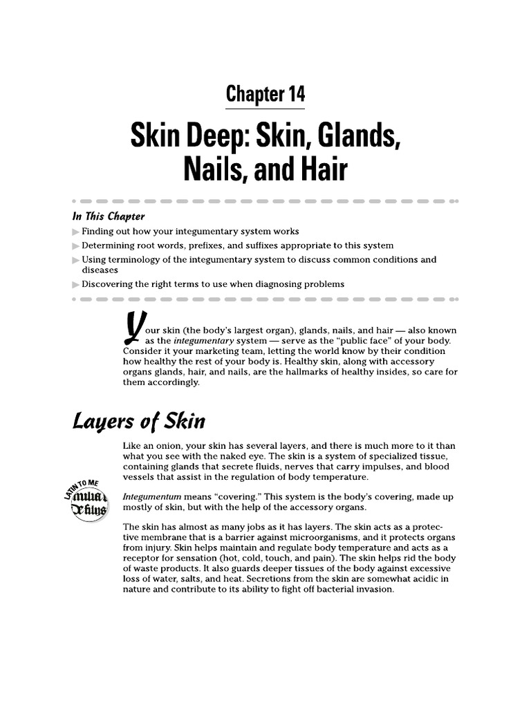 Integumentary System Quiz and Overview | PDF
