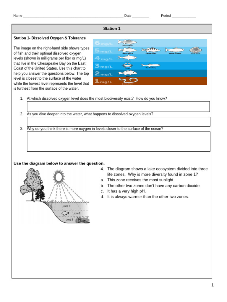 Aquatic Ecosystems Stations Modified Version | PDF | Oceans | Water